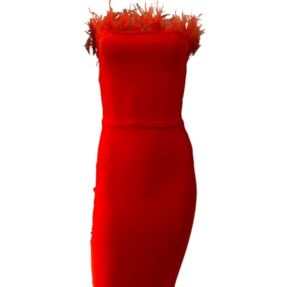 Dresses | Red Feather Dress | Poshmark
